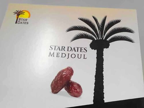 Dátiles Medjool calibre junior - Campo de Benamayor
