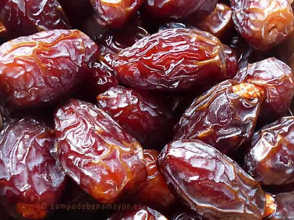 Dátiles Medjool en caja de 1 kg | Campo de Benamayor